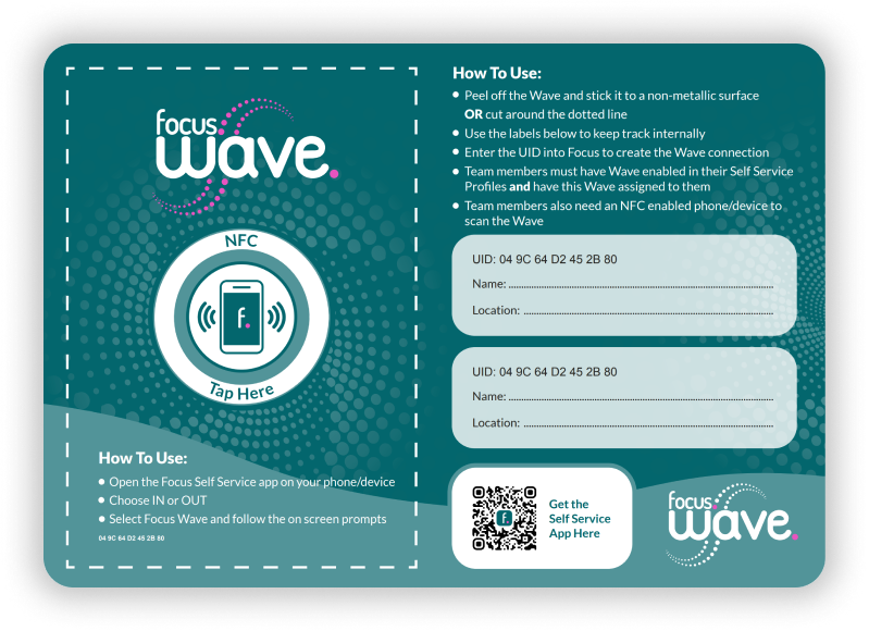 How do I set up a Focus Wave Reader?